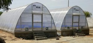 ATR SOLAR (INDIA) – Solar Green House Dryer/ Solar dryer/ solar air heater