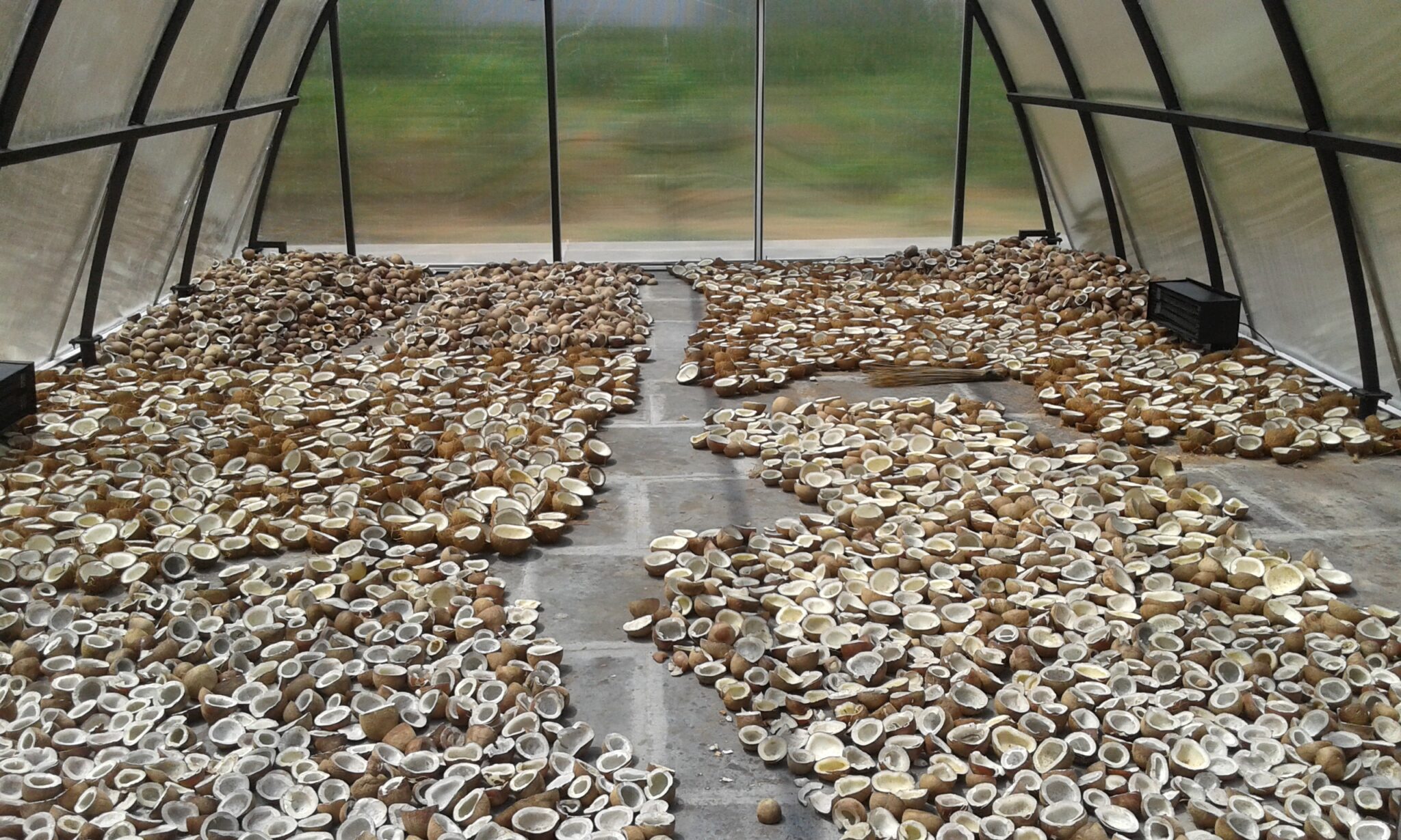 Solar Copra Dryer – ATR SOLAR (INDIA)