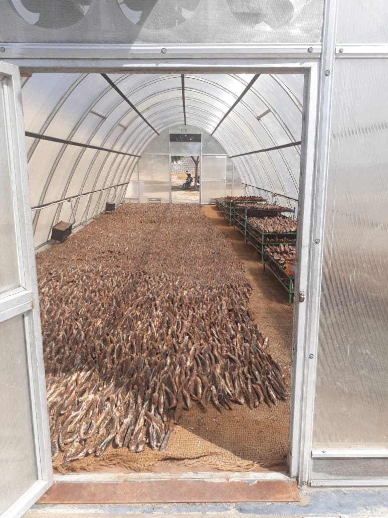 Fish Dryer – ATR SOLAR (INDIA)
