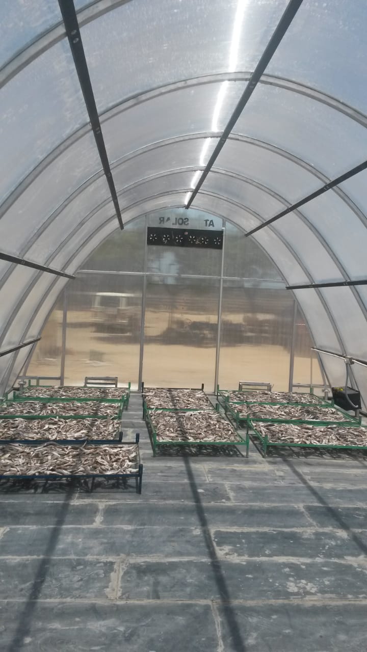 Fish Dryer – ATR SOLAR (INDIA)